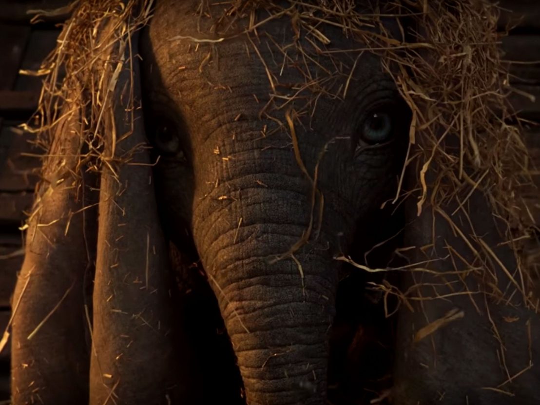 Voici le tout nouveau trailer Dumbo de Tim Burton ! - Petit Journal