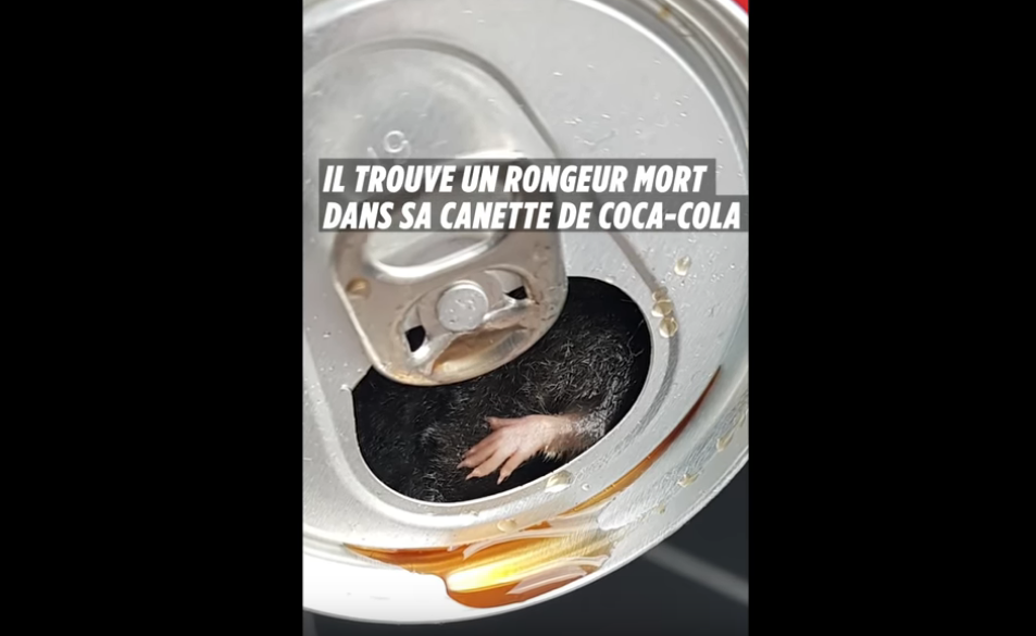 Il découvre un rat mort dans sa canette de coca ! - Petit Journal